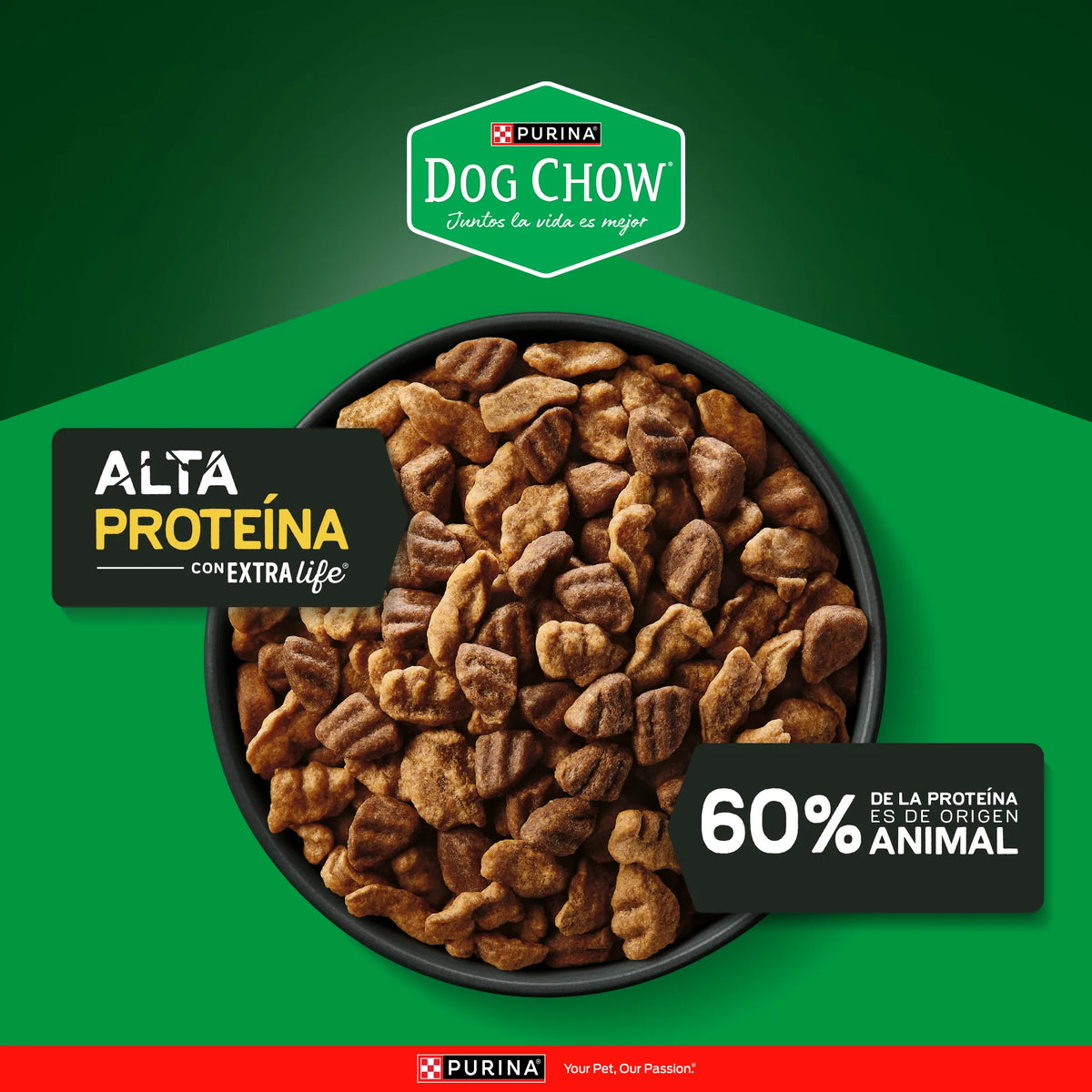 Purina Dog Chow Adultos Alta Proteína - Comida para Perros – Petit Paws